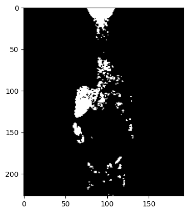 Working with Images — imfusion-sdk 0.10.0+webshop.pro documentation